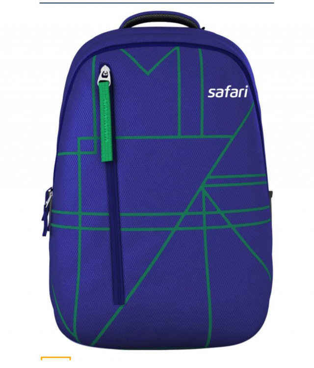 Safari Blue Laptop Bags – Global Delivery